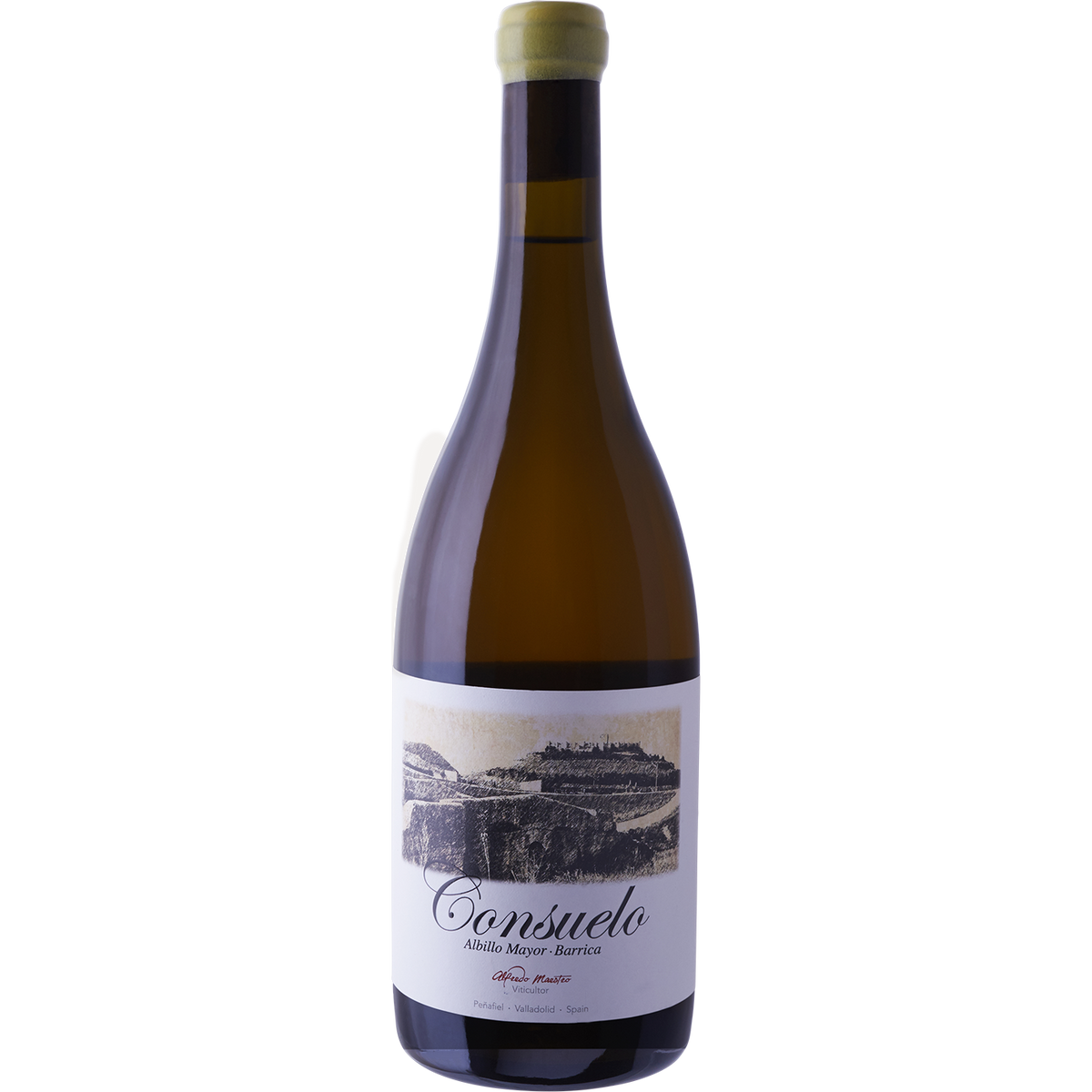 Alfredo Maestro Castilla y Leon VdT 'Consuelo' 2016 – Verve Wine